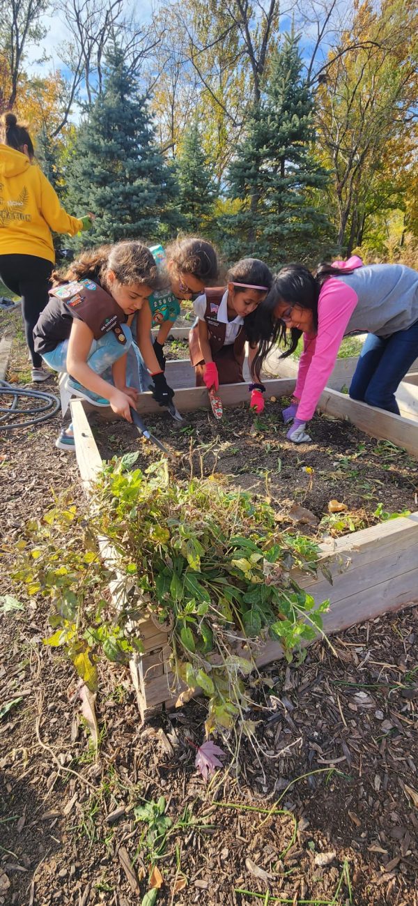 Cultivating Community: The Mecca Center Community Garden – The Mecca Center